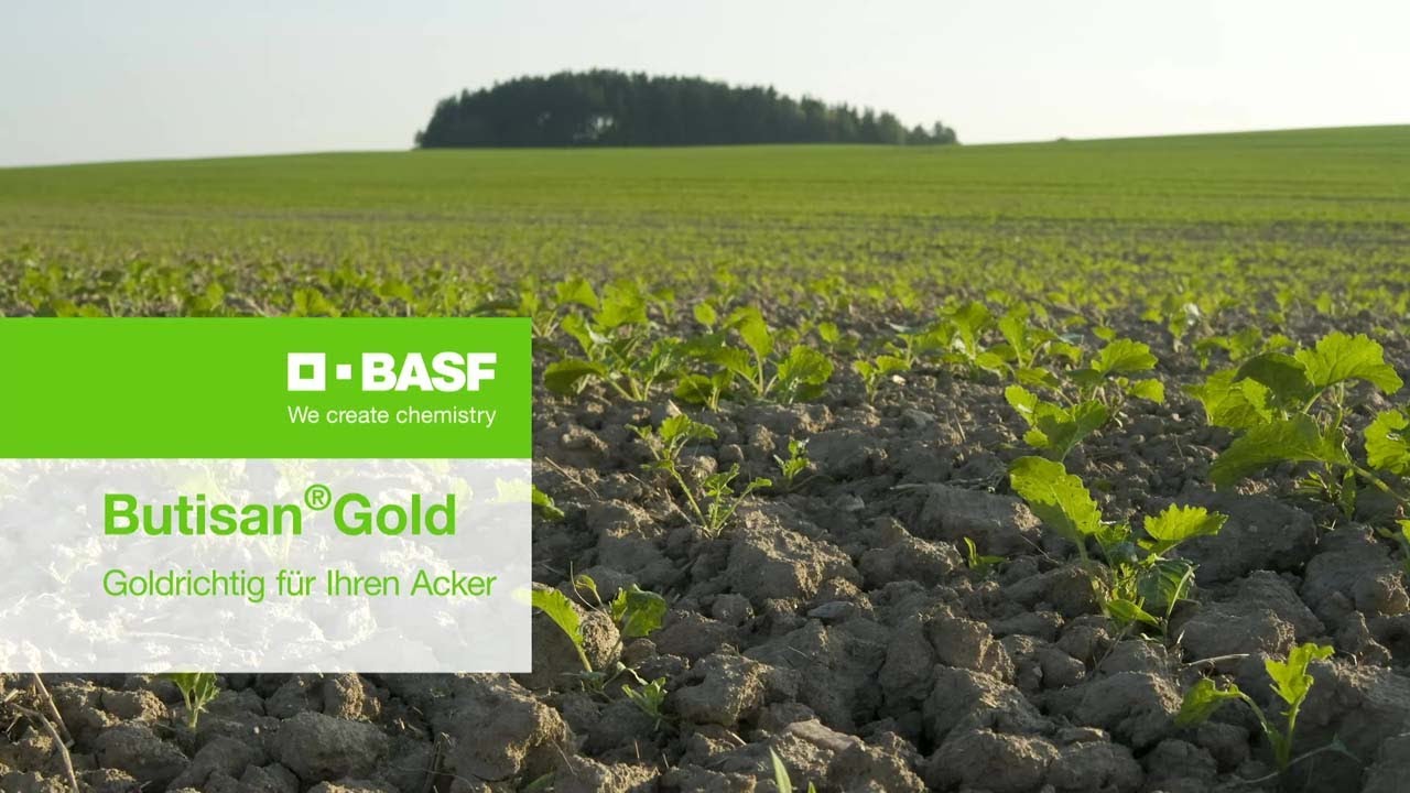 Wirkungsweise von Butisan® Gold - YouTube