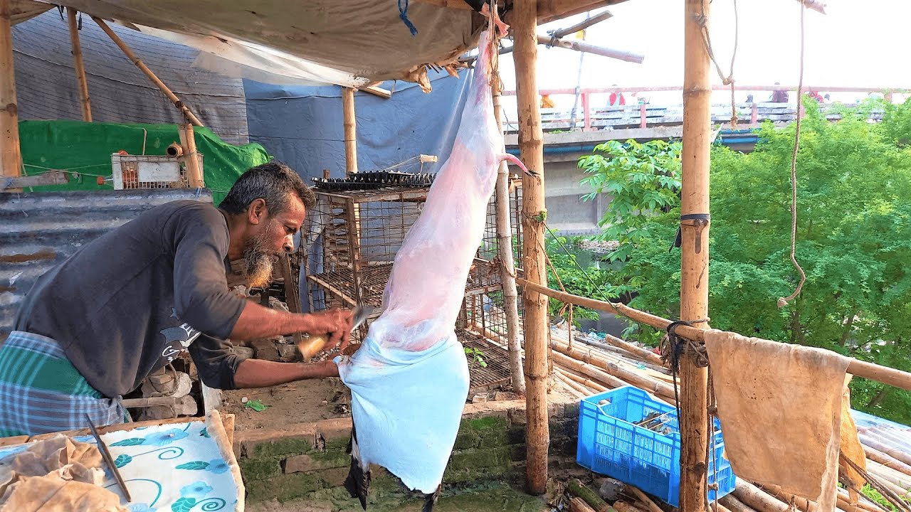 Goat skin peeling and intestine remove technique by experienced butcher ...