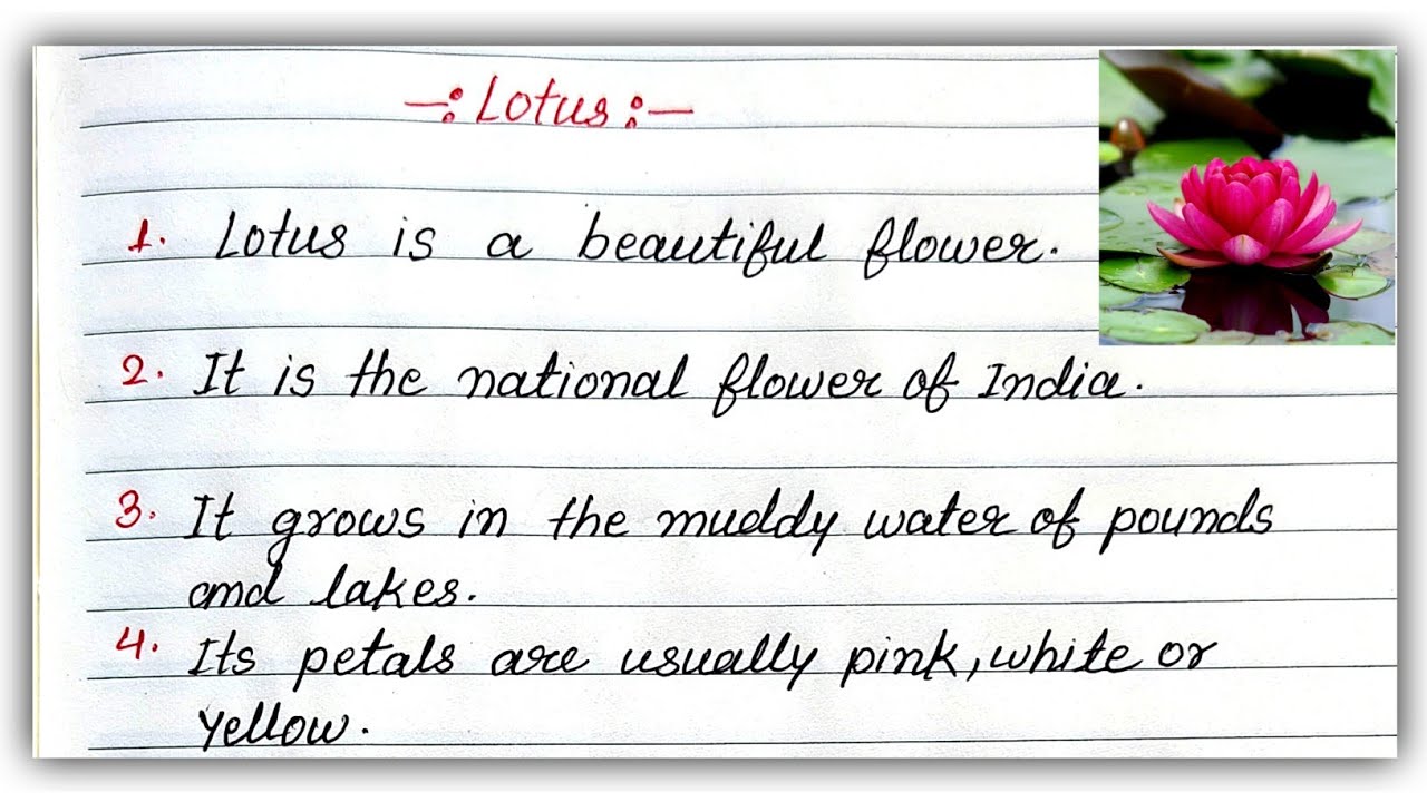 Lotus 🪷 || 10 lines essay on lotus || essay writing on lotus || essay ...