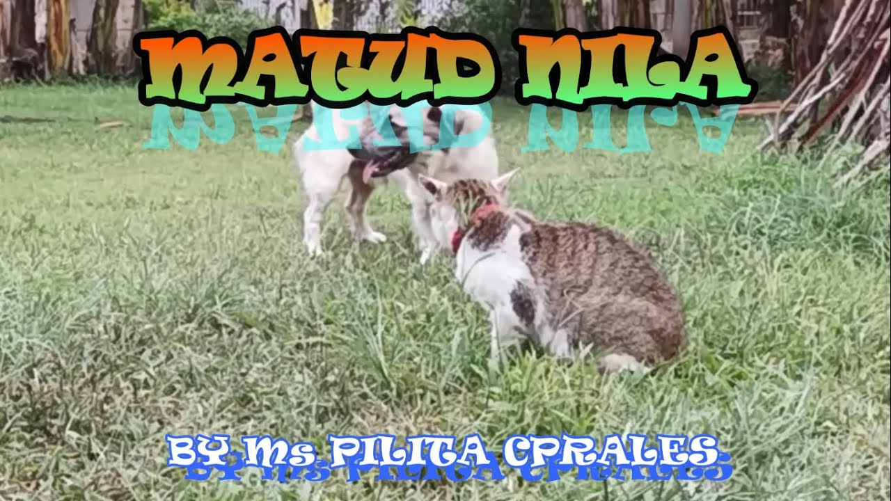 How To Do A Right Time With A Perfect Of Matud Nila Karaoke Guitar ...