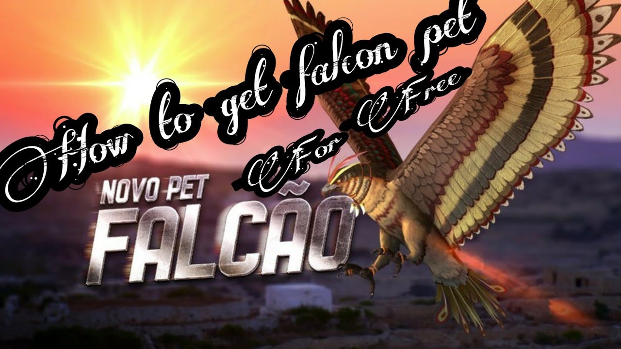 How to get falcon pet? - YouTube