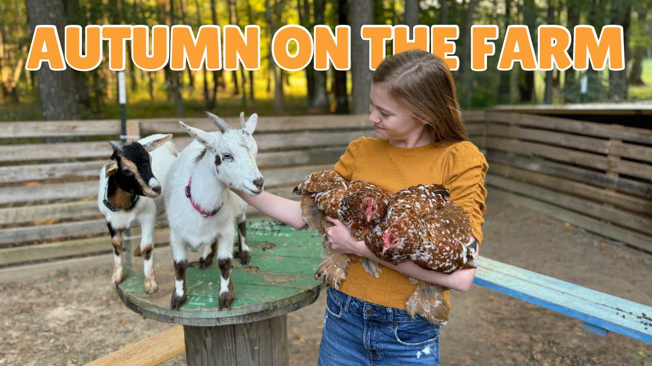 What FALL is like on a SMALL FARM 🍂🍁 - YouTube