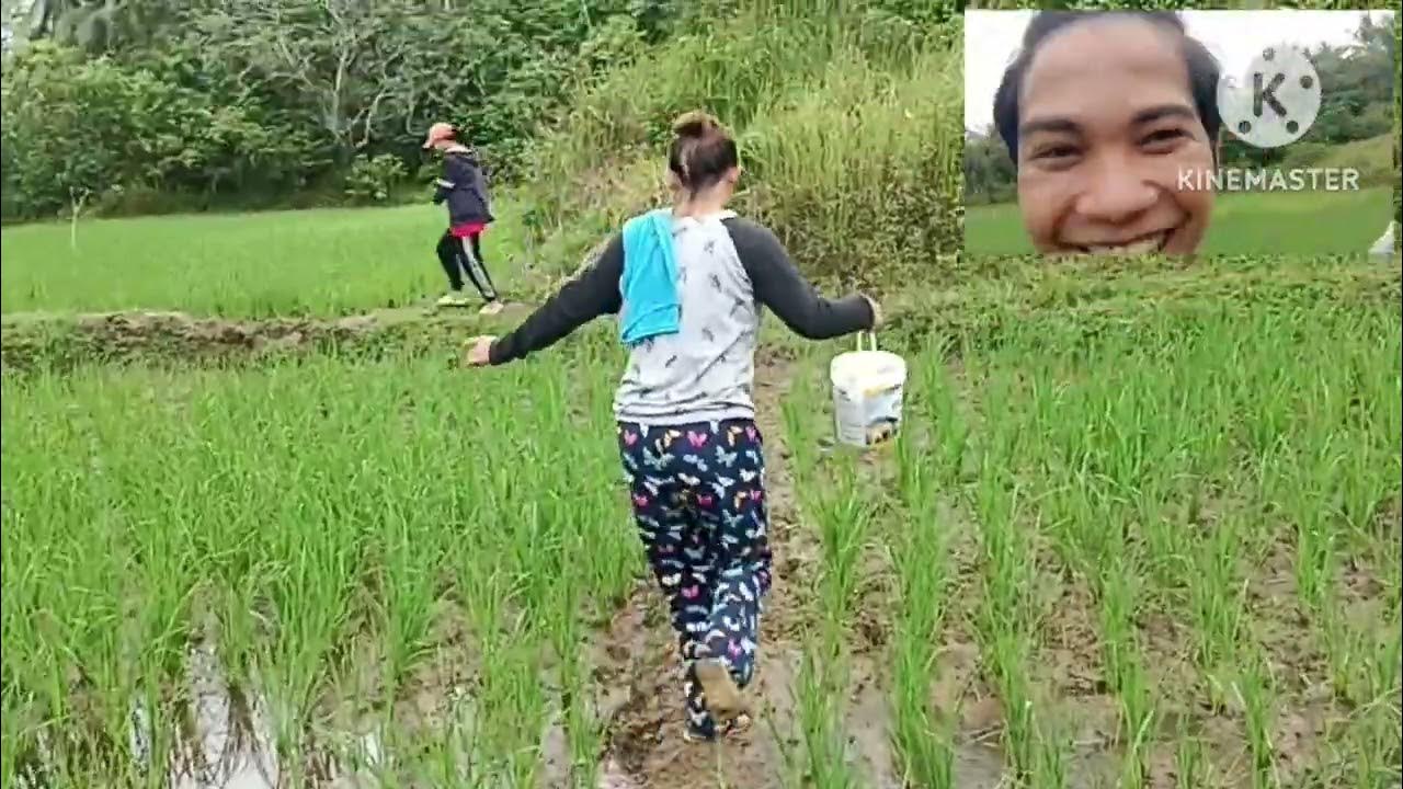 Secret to defeat a BUFFALO 🐃...#technology GEH VIDEO KA ,MO ATO KA? - YouTube