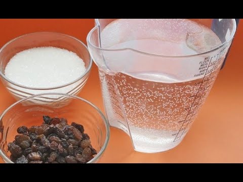 Закваска для Вина - YouTube