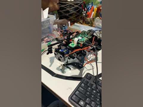 Testing robot dog kit by freenove Raspberry pi based - YouTube