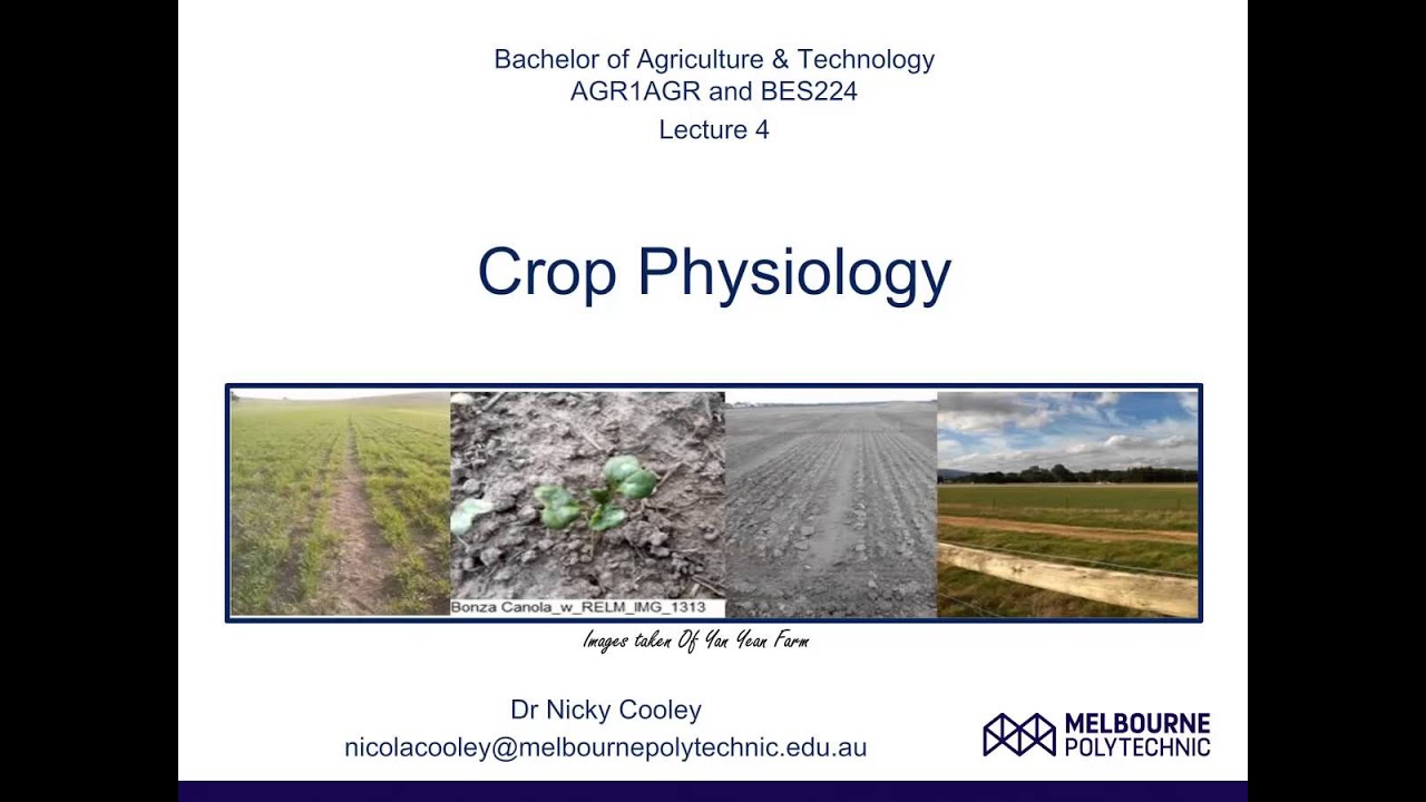 Crop Physiology YouTube crop-physiology-youtube