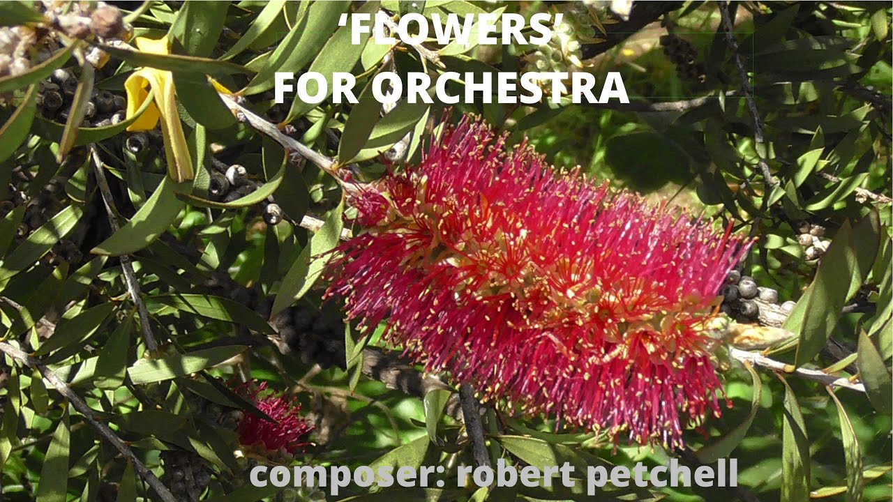 'FLOWERS' FOR ORCHESTRA - YouTube