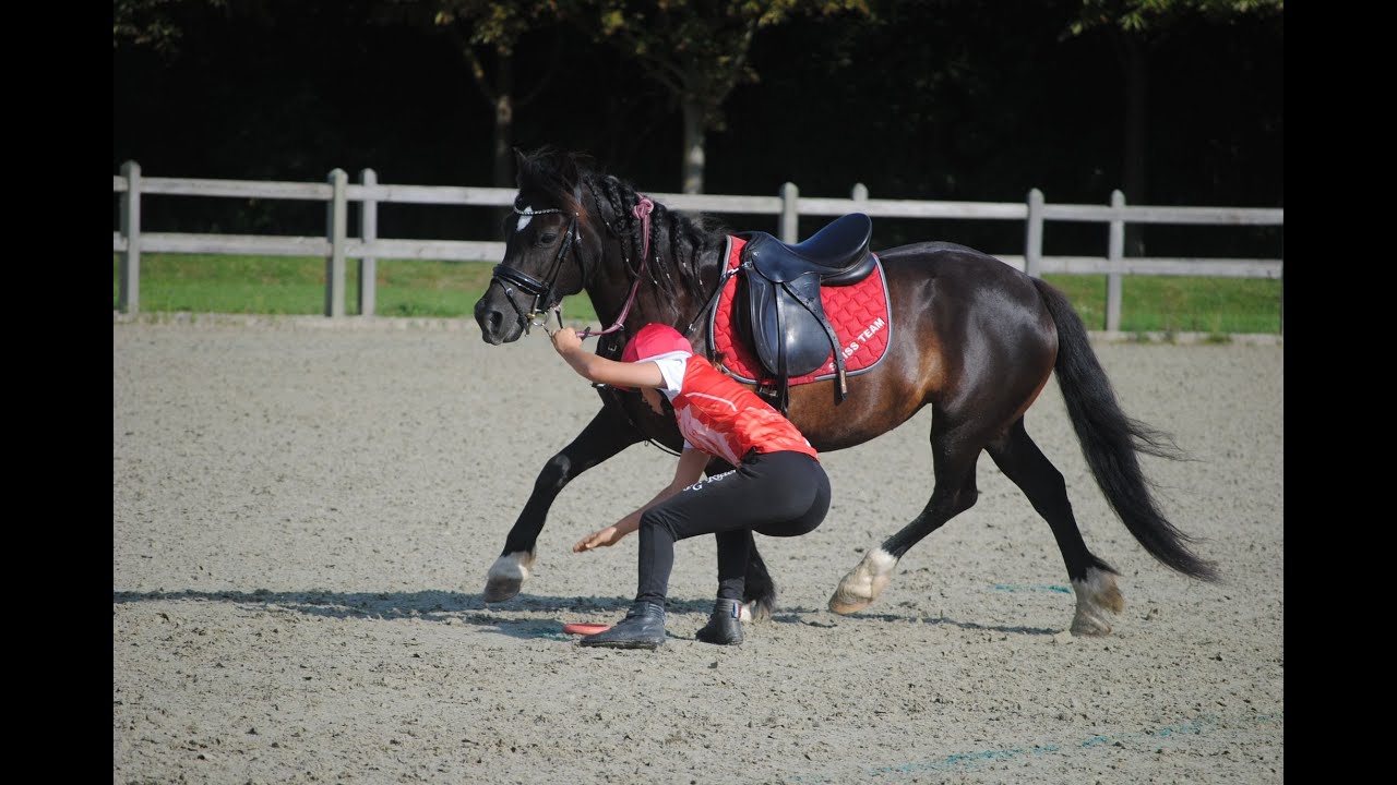 Mounted Games kurz erklärt - YouTube