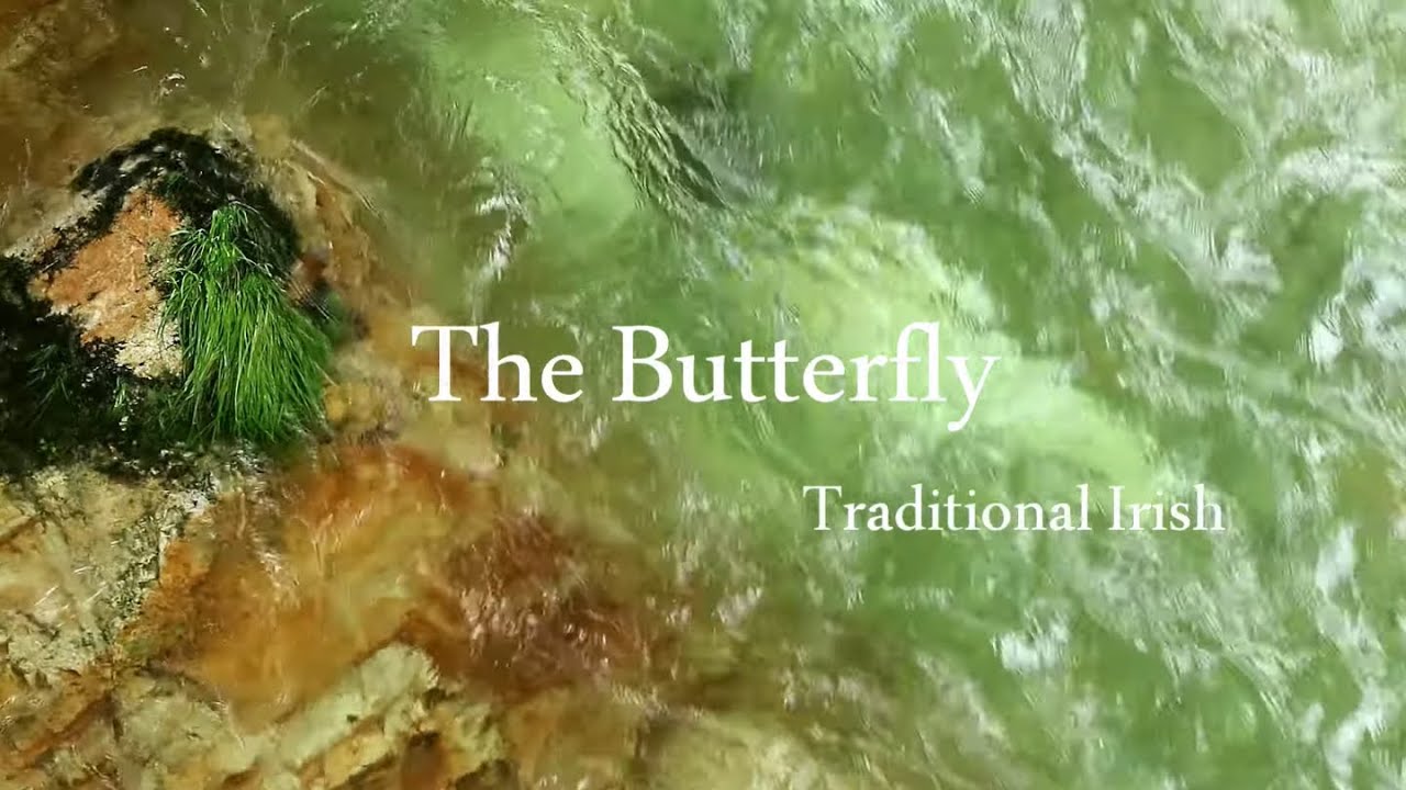 The Butterfly/Traditional Irish/Celtic Harp/バタフライ - YouTube