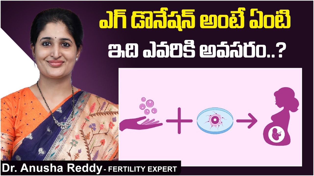 సంతానం కోసం డోనర్ ఎగ్ | Egg Donation Procedure in Telugu | Best ...