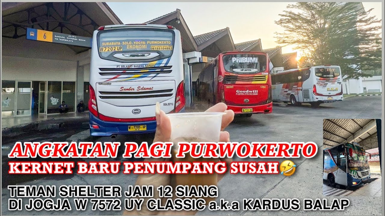 Hanya 7 Jam ‼️PURWOKERTO - SOLO - Surabaya Sumber Selamet / Sugeng ...