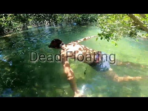 FLOATING DEAD BODY. - YouTube