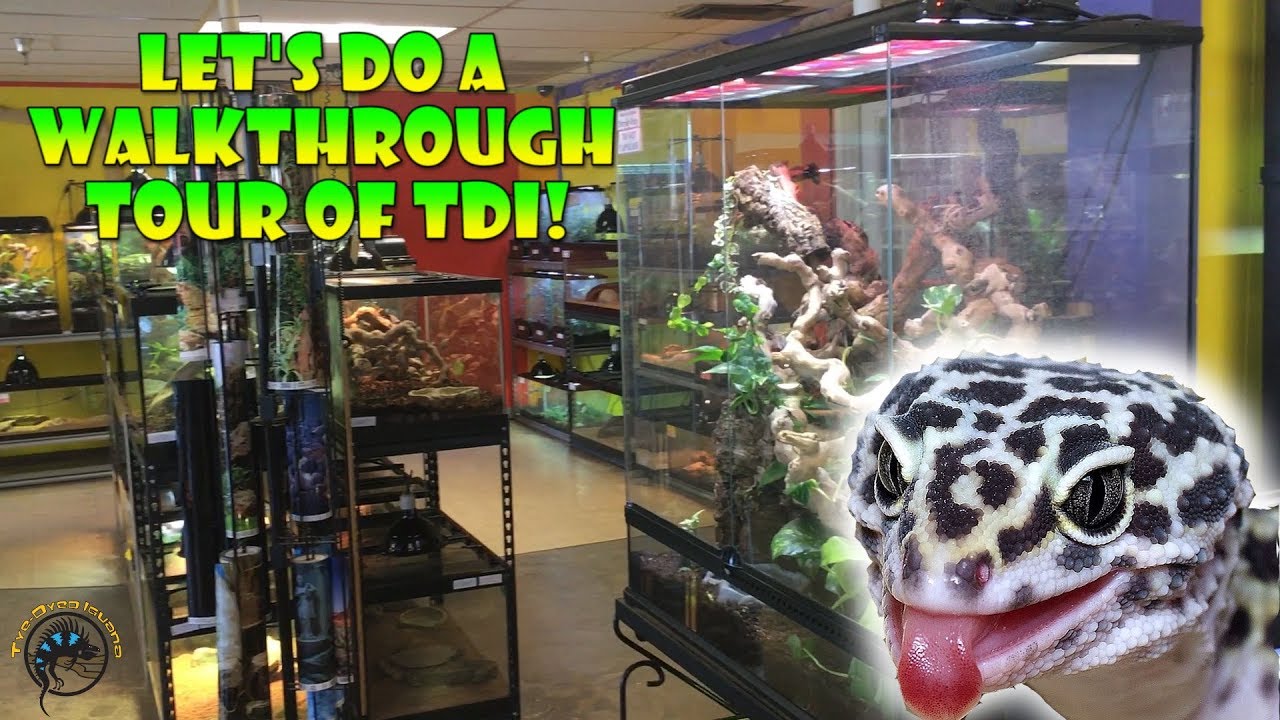 A Walkthrough Tour of Our Store! - YouTube