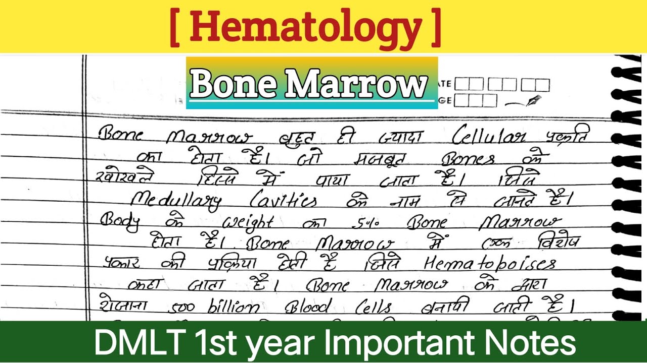 Bone Marrow Examination Bone Marrow In Hindi Procedure Test Bone Marrow Examination Bone Marrow In Hindi Procedure Test