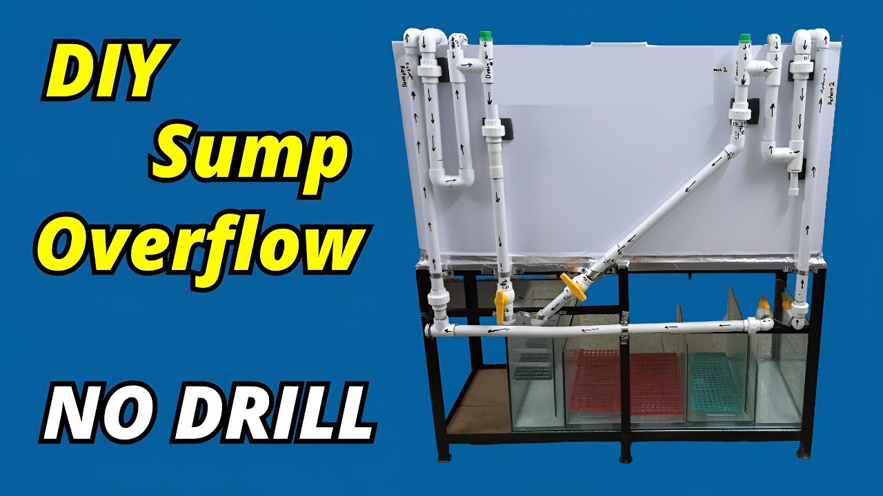 DIY Aquarium Overflow System | Making Fish Tank Sump Overflow Without ...