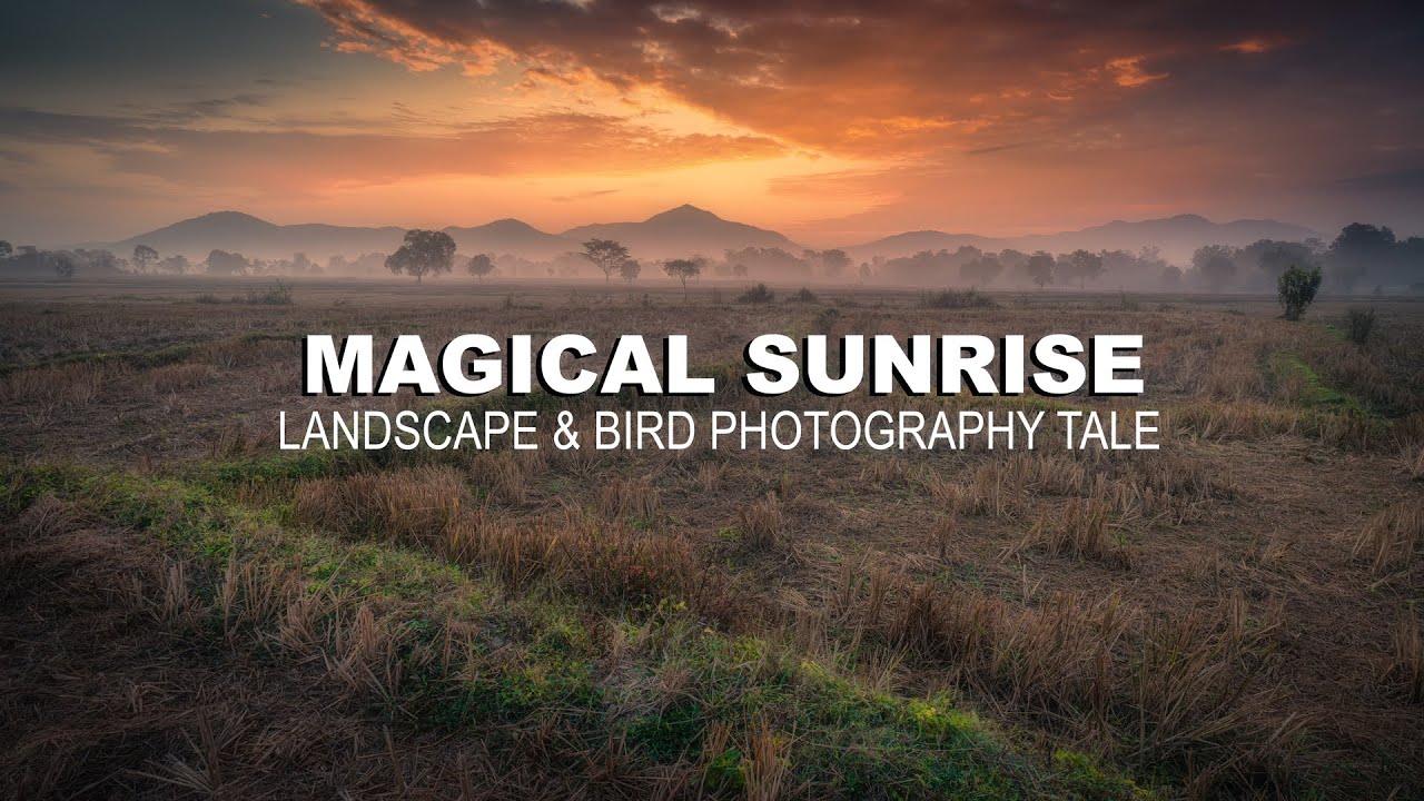 A Landscape Photography and Bird Photography Tale - YouTube