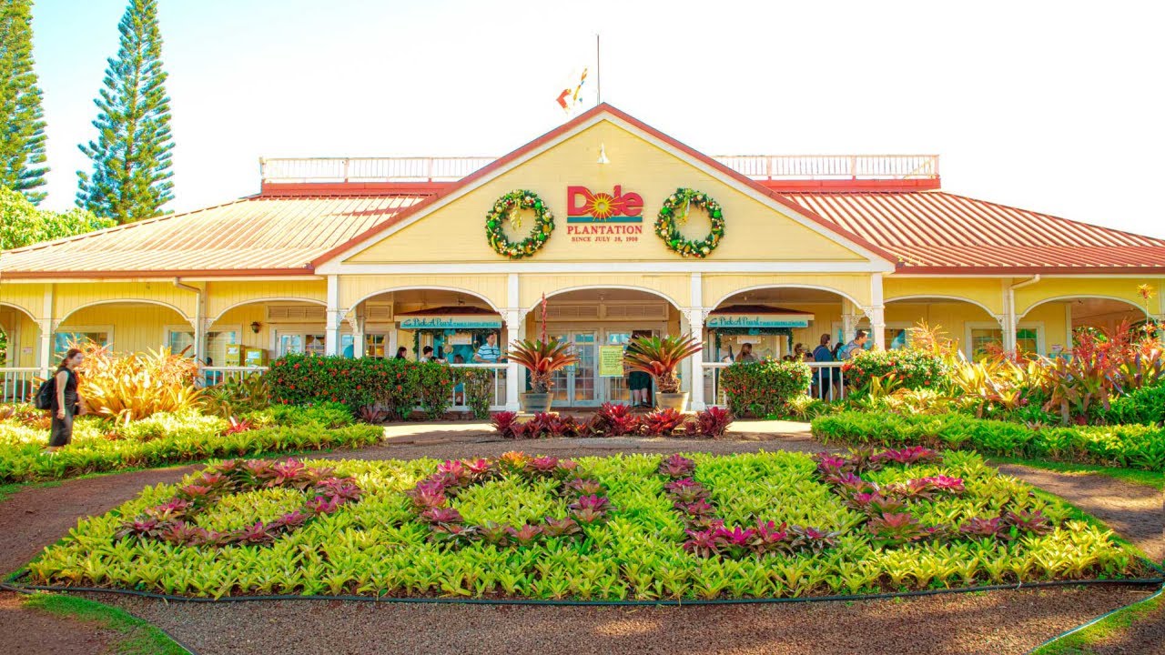 Dole Plantation: A Sweet Journey Through Hawaii's Pineapple Paradise ...