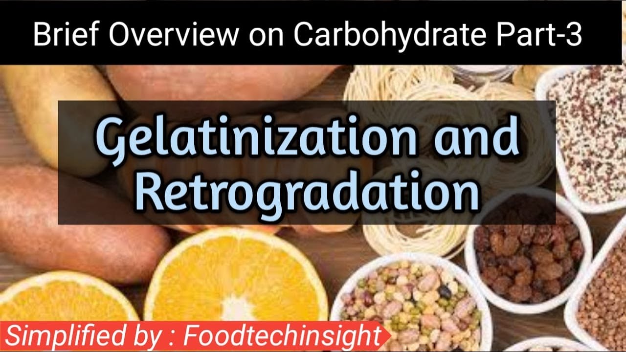 Gelatinization and Retrogradation - PART 3 (GATE Syllabus) - YouTube