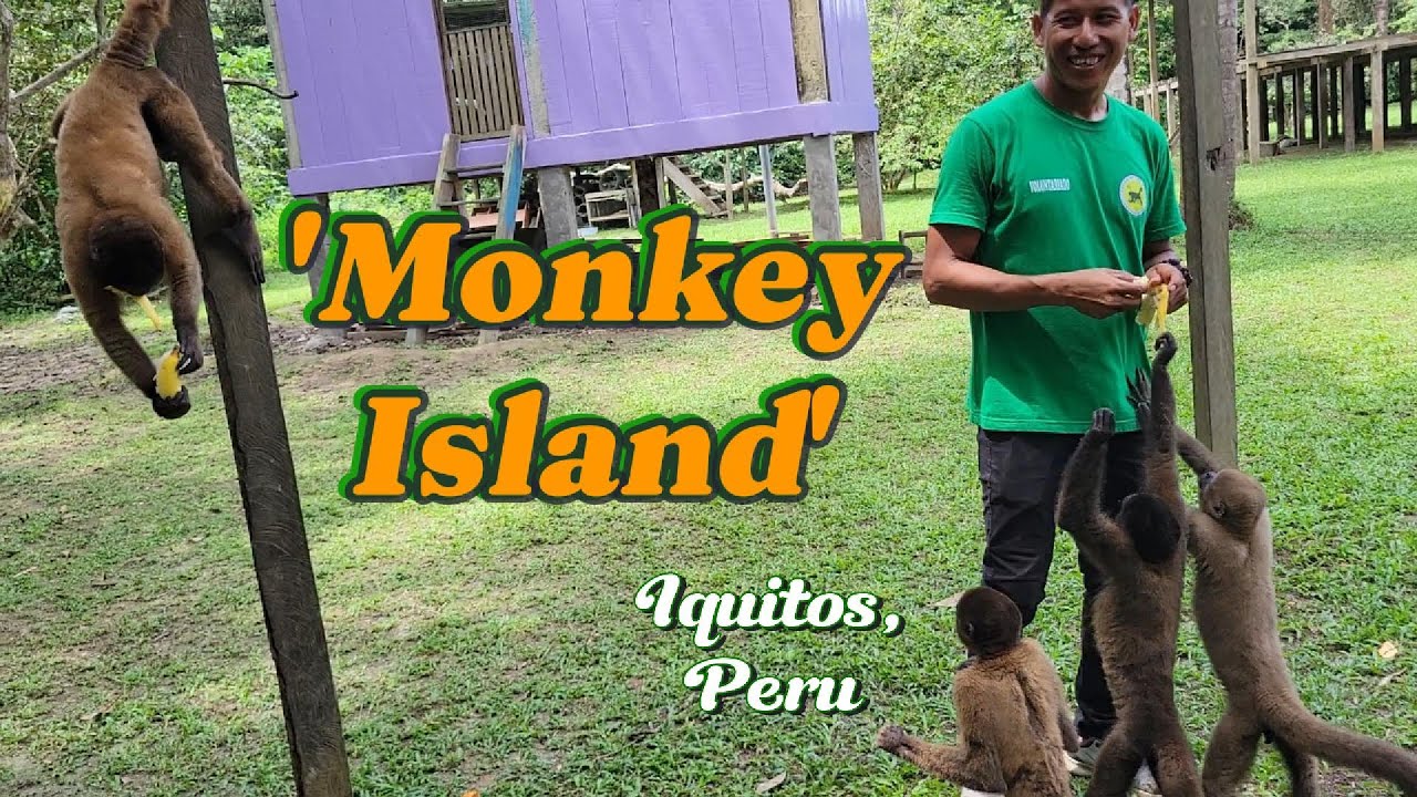 Hanging Out With The Monkeys At 'La Isla de Los Monos' - Monkey Island ...