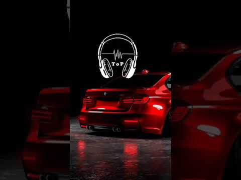 Sharap - Des Sharap / BASS / TOP2022