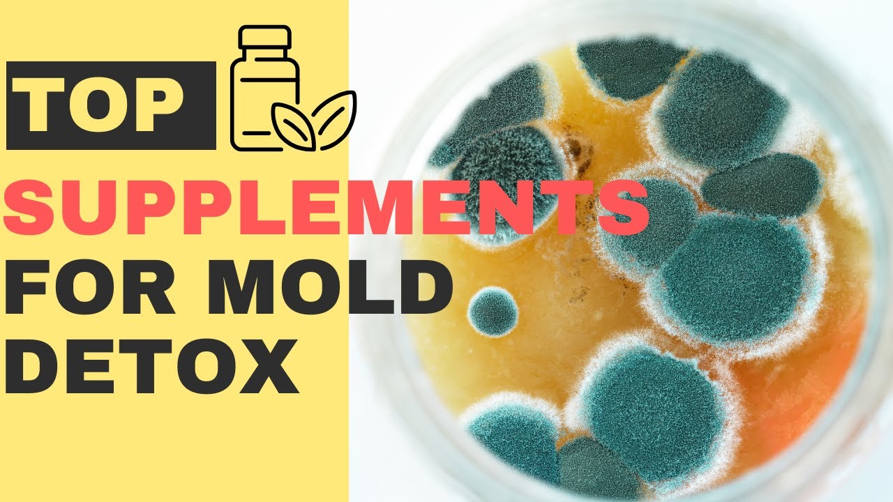 Do Mold Detox Supplements ACTUALLY Work? - YouTube