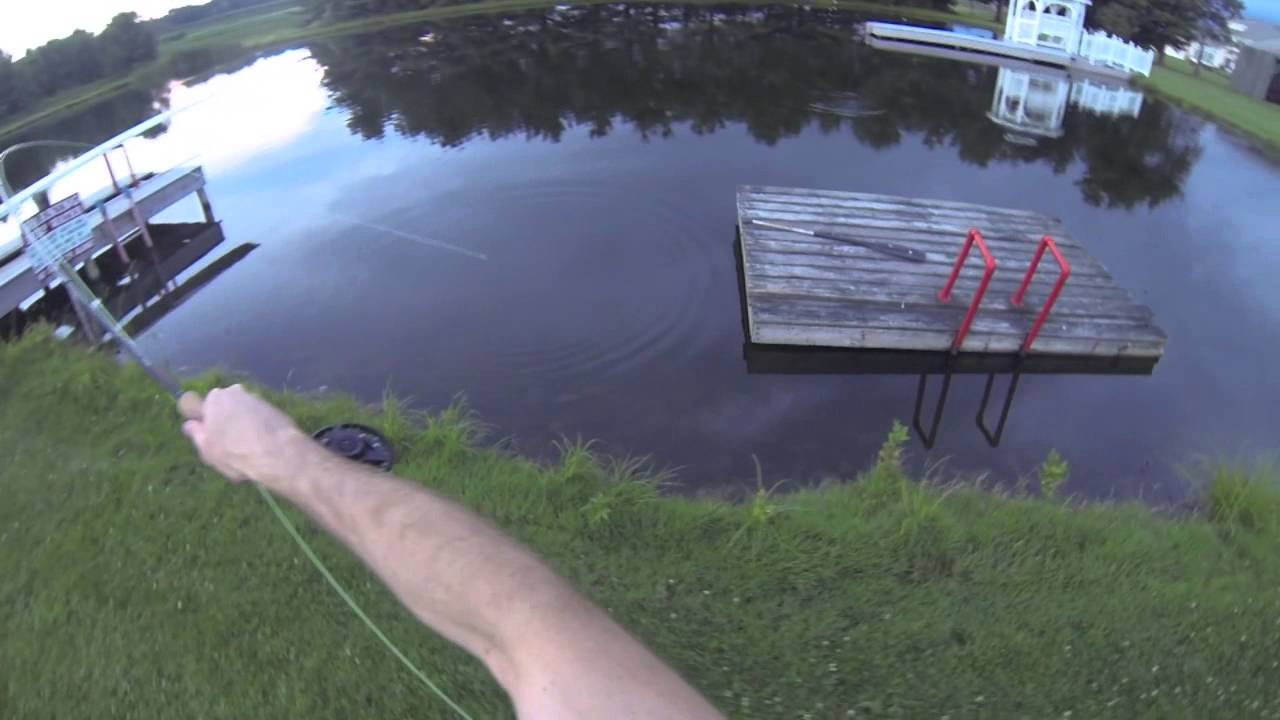 Fly Fishing the Farm Pond - YouTube