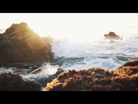 Karanlıklar Nura Döner (Seyyid M. Avnullah Özmansur)