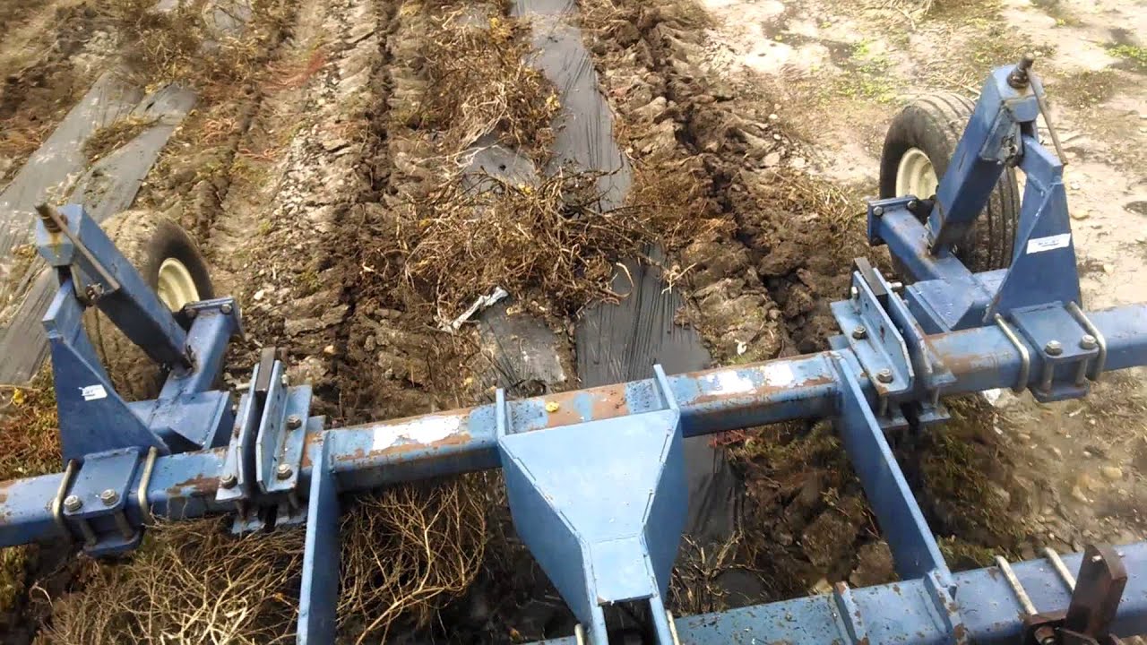4440 ripping and lifting plastic mulch. Full sound - YouTube