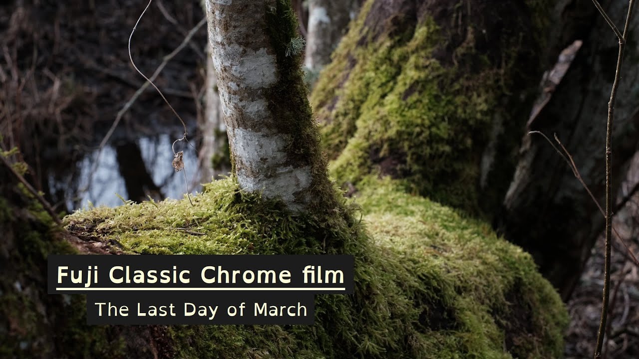 Fuji Classic Chrome simulation - perfect for filming nature (DCI sample ...