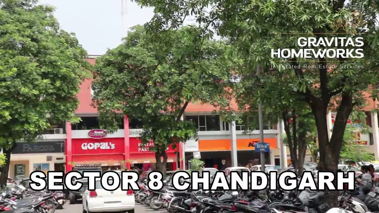 Sector 8 Chandigarh India - YouTube
