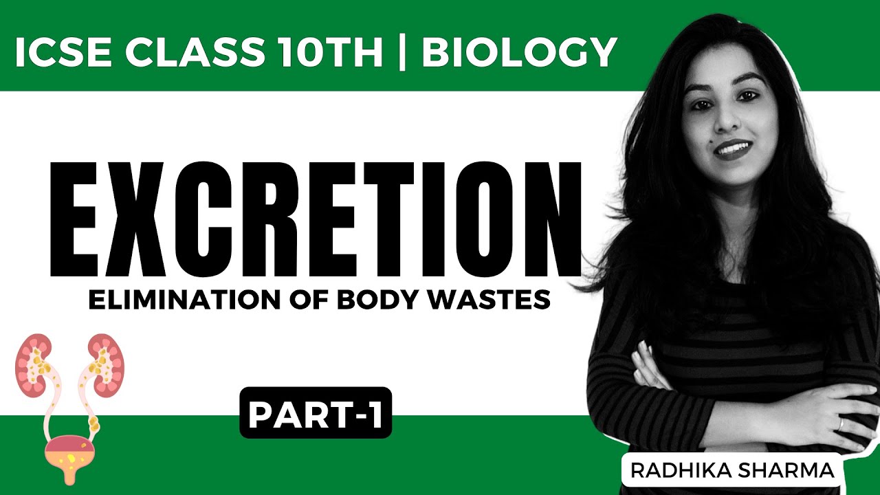 Excretion : Elimination of Body Wastes | ICSE CLASS 10 Biology | Part-1 ...