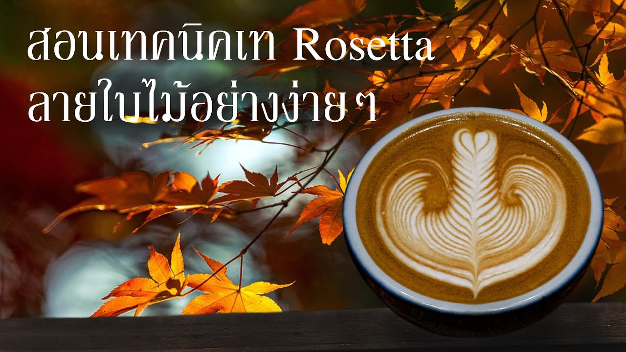 สอนเท Rosetta ลายใบไม้ อย่างง่ายๆ (การเทลายโรเซ็ตต้า , ลายใบใม้ ...