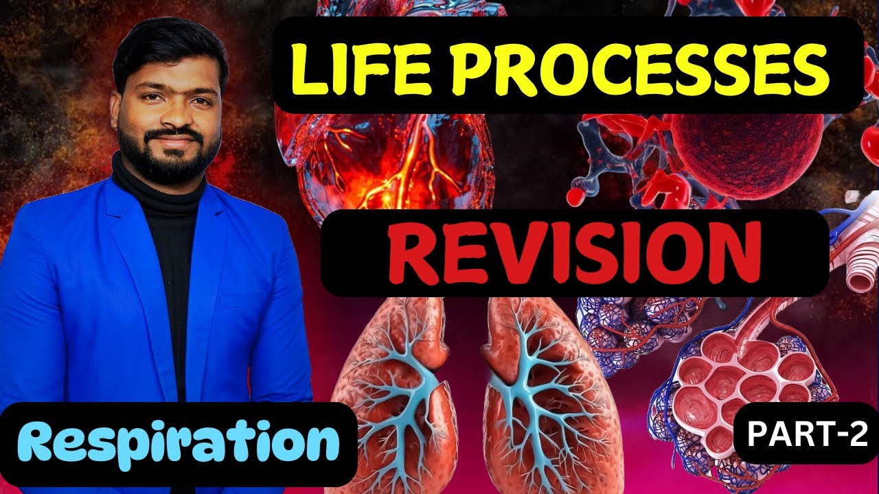 life processes part -4|| Respiration | @EDUSPARK580 |#revision - YouTube