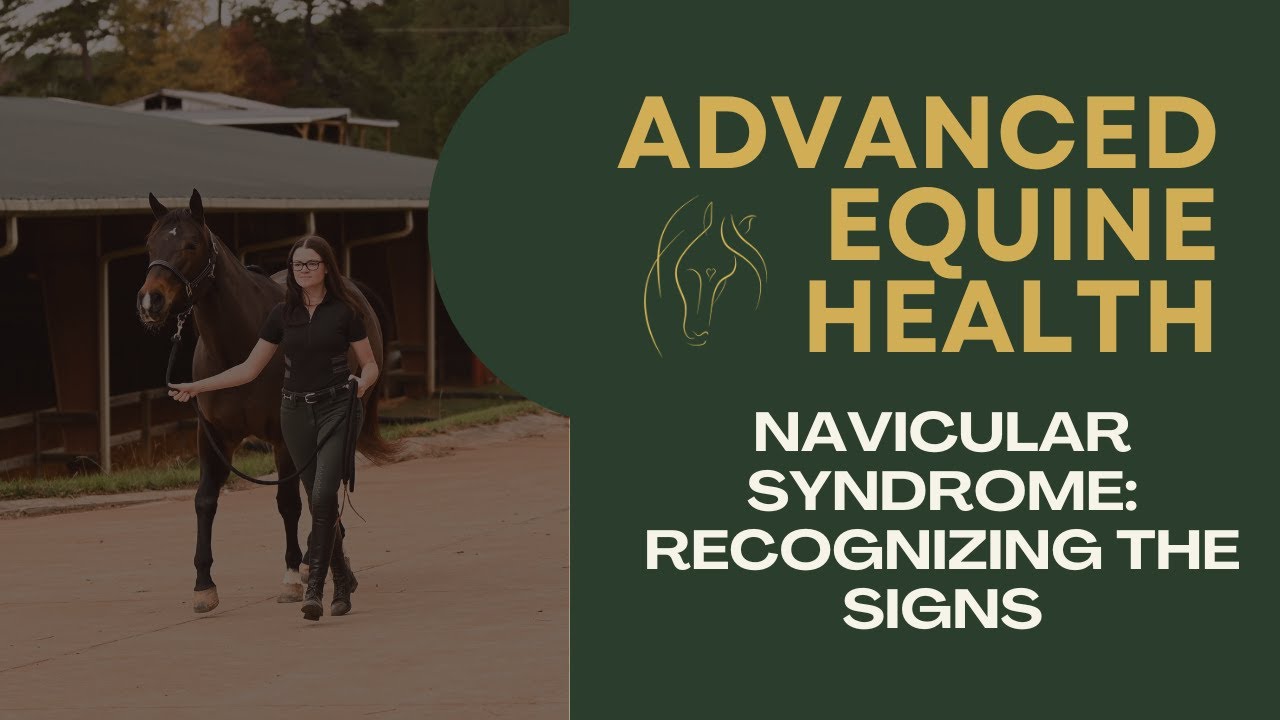 Navicular Syndrome: Recognizing the Signs - YouTube