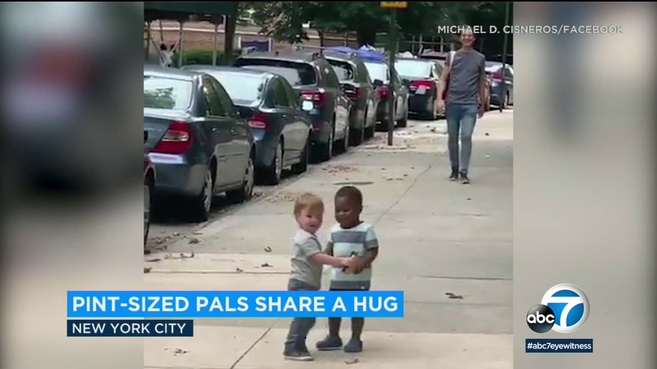 Toddler 'besties' running to hug each other in NYC go viral | ABC7 ...
