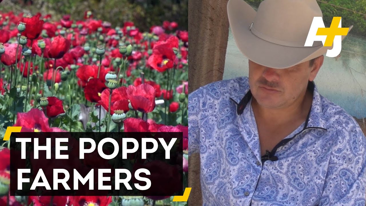 Meet The Mexican Poppy Farmers - YouTube