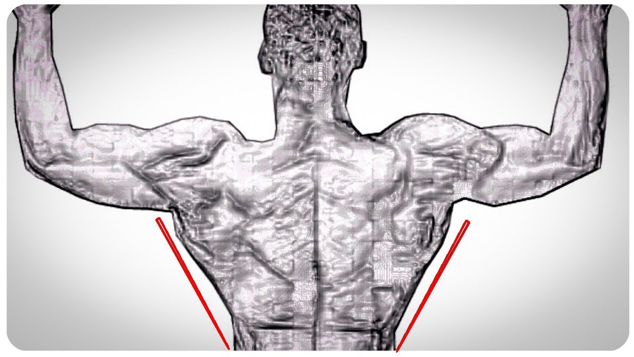 Get a Perfect V Shaped Physique with These 4 Simple Exercises - YouTube