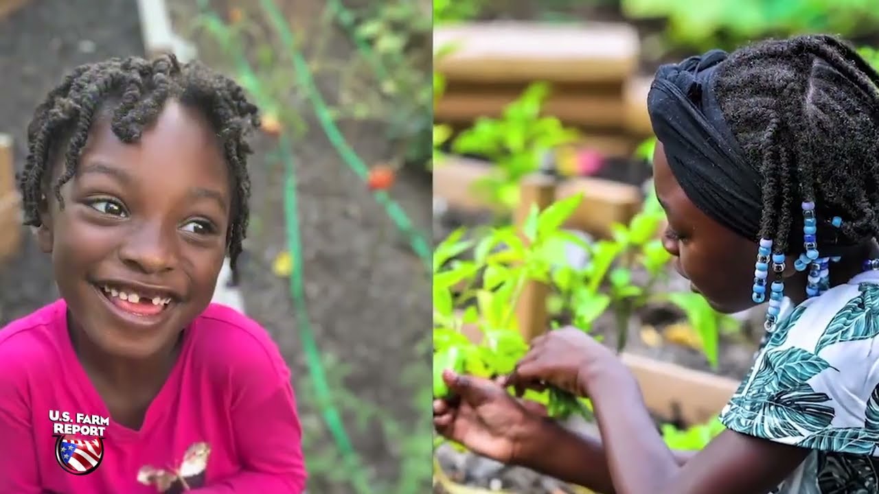 Meet Georgia's Youngest Certified Farmer, Kendall Rae Johnson - YouTube