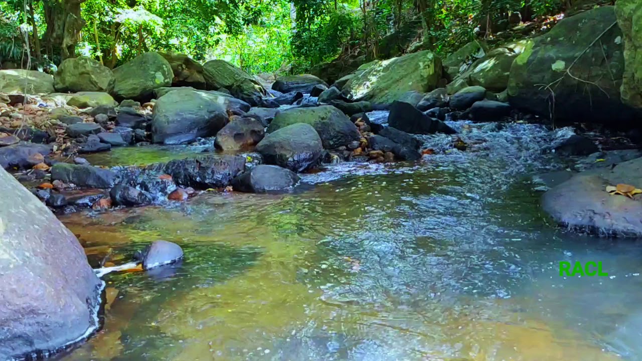 #nature_beats #river_sound #relax_mind relax with nature ,river natural ...