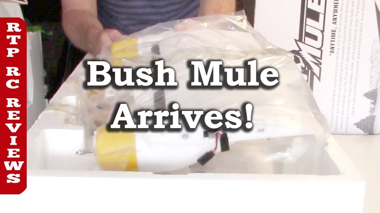 HK Bush Mule Review Part 2, Box Opening and Quick Look at Parts - YouTube