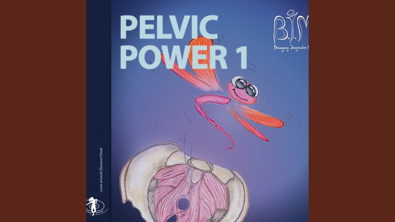 Pelvic Floor Triangles (Slow Eccentric Action Of The Muscle Filaments ...