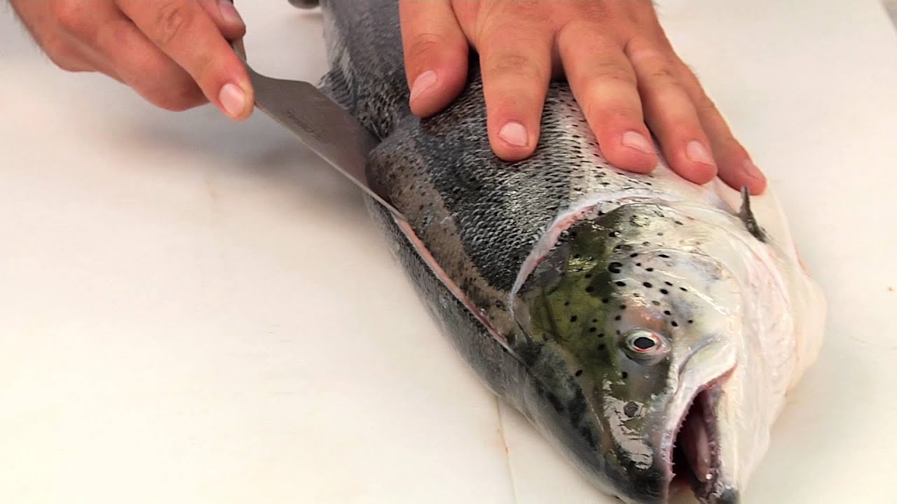 Zalm fileren | Makro Inspirations - YouTube