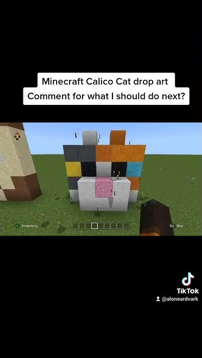 Minecraft Calico Cat Drop Art Tiktok Youtube
