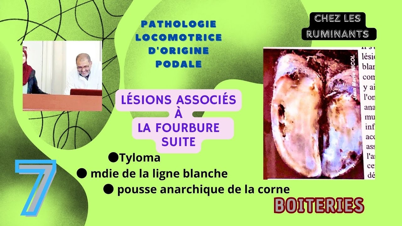 Pathologie locomotrice d'origine podale 7 ( bovins),Tyloma; Pousse ...