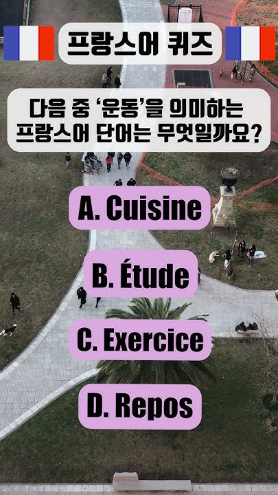 오늘의 프랑스어 퀴즈 시리즈 프랑스어배우기 프랑스어기초 프랑스어회화 프랑스어발음 프랑스어못하는척 프랑스어노래