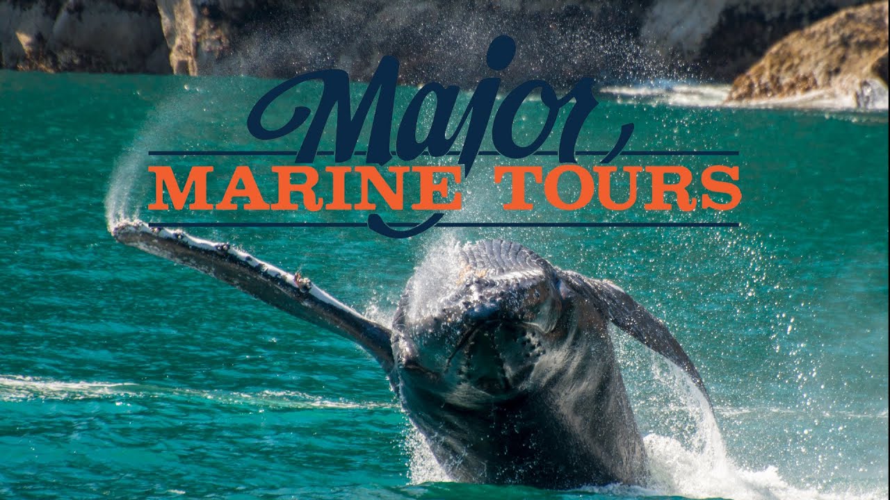 Come Visit Major Marine Tours, Alaska - YouTube