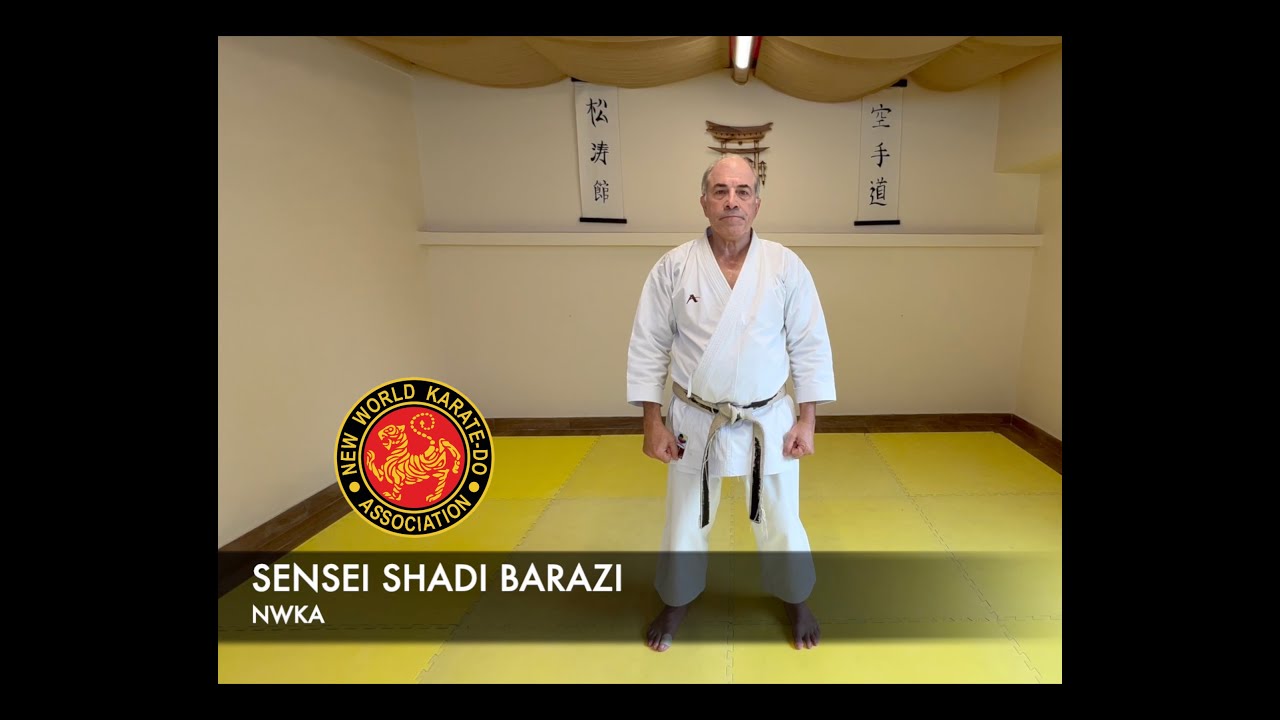 Sensei Shadi Barazi explaining some of the Dan examination Kihon. - YouTube