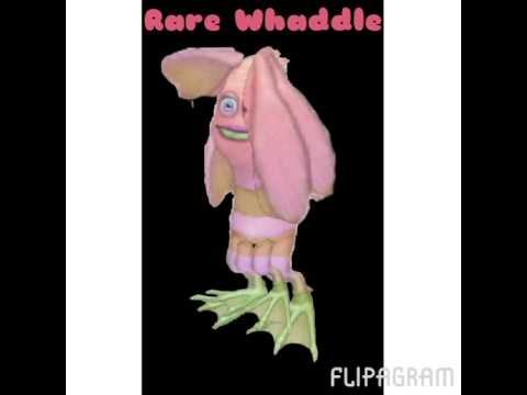 Rare Whaddle - YouTube