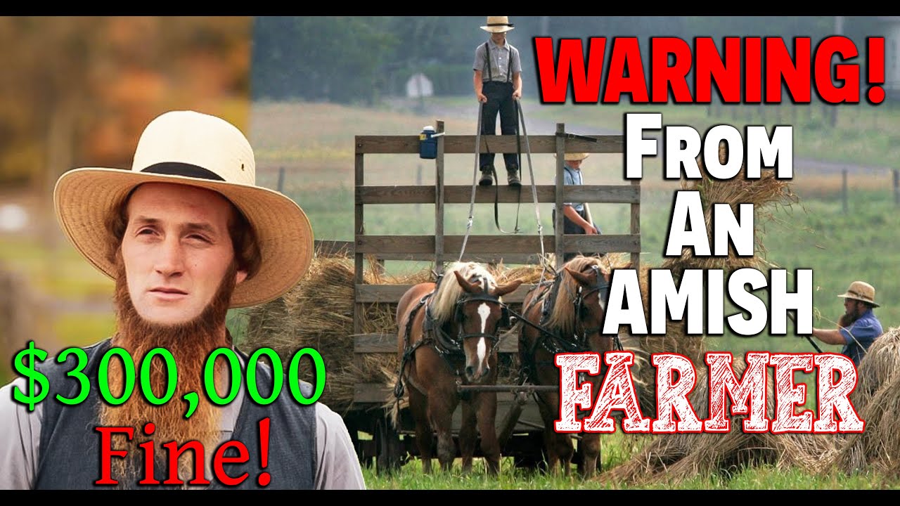 (WARNING!) From An Amish FARMER! ~ U S Marshalls raid AMISH over FOOD ...
