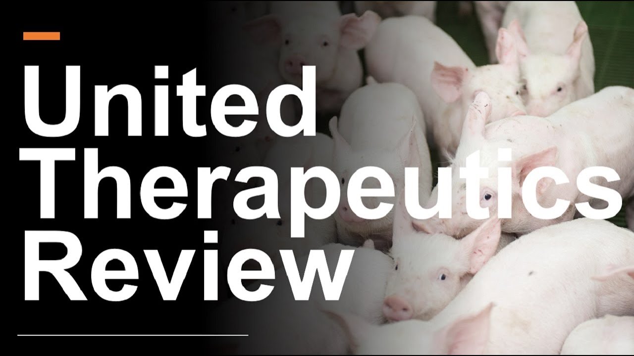 UTHR Stock: Harvesting Organs From Pigs For Profit - YouTube